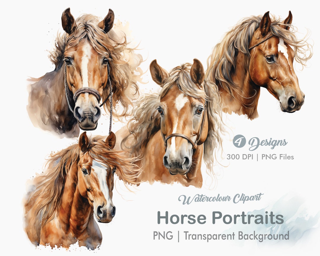 Horse Portrait Clipart, Horse Face Clipart, Farm Horses , Junk Journals ...