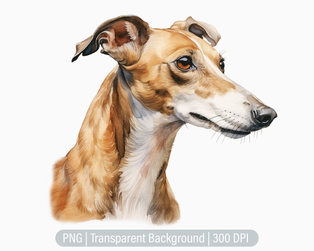 Greyhound Clipart, Dog PNG Clipart, Junk Journals, Scrapbooking ...