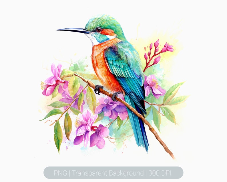 Tropical Bird Clipart, Watercolour Bird Png, Colourful Birds Clipart ...