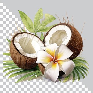 Coconut Watercolor Clipart, Summer Fruit Clip Art, Tropical Leaves ...