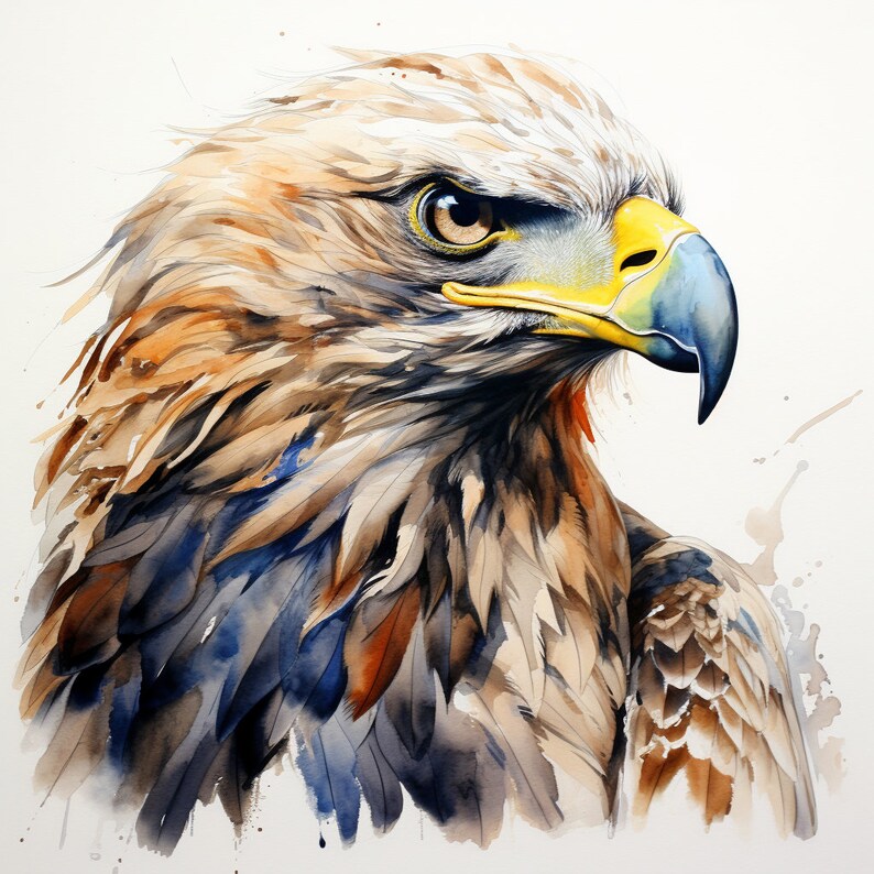 Watercolor Eagle Clipart Eagle Png Bald Eagle Illustration - Etsy