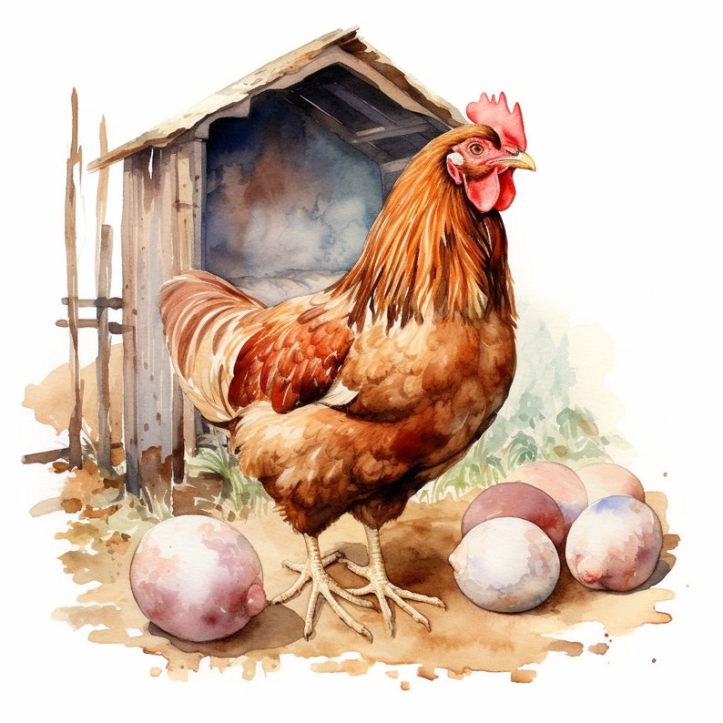 Watercolor Chicken Coop Clipart Farm Animals Clip Art Hen - Etsy