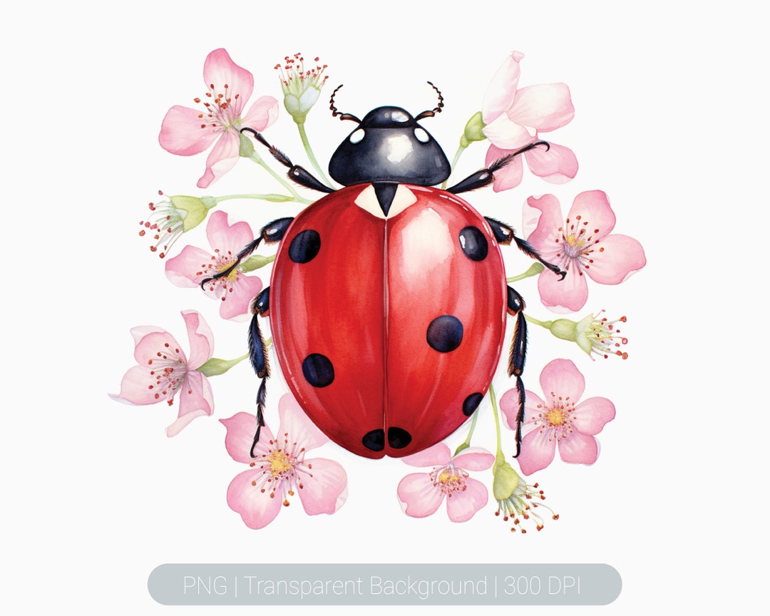 Watercolor Ladybug Clipart Bundle, Floral Cute Lady Bug Prints, Ladybug ...