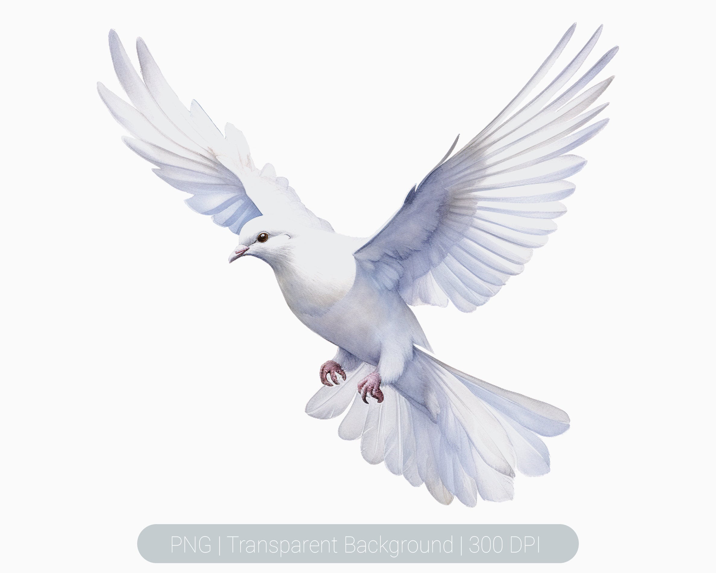 Flying White Doves Clipart Watercolor Doves Png Floral White - Etsy UK