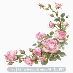 Pink Roses Corner Border Clipart, Pink Flowers, Spring Flowers, Junk ...