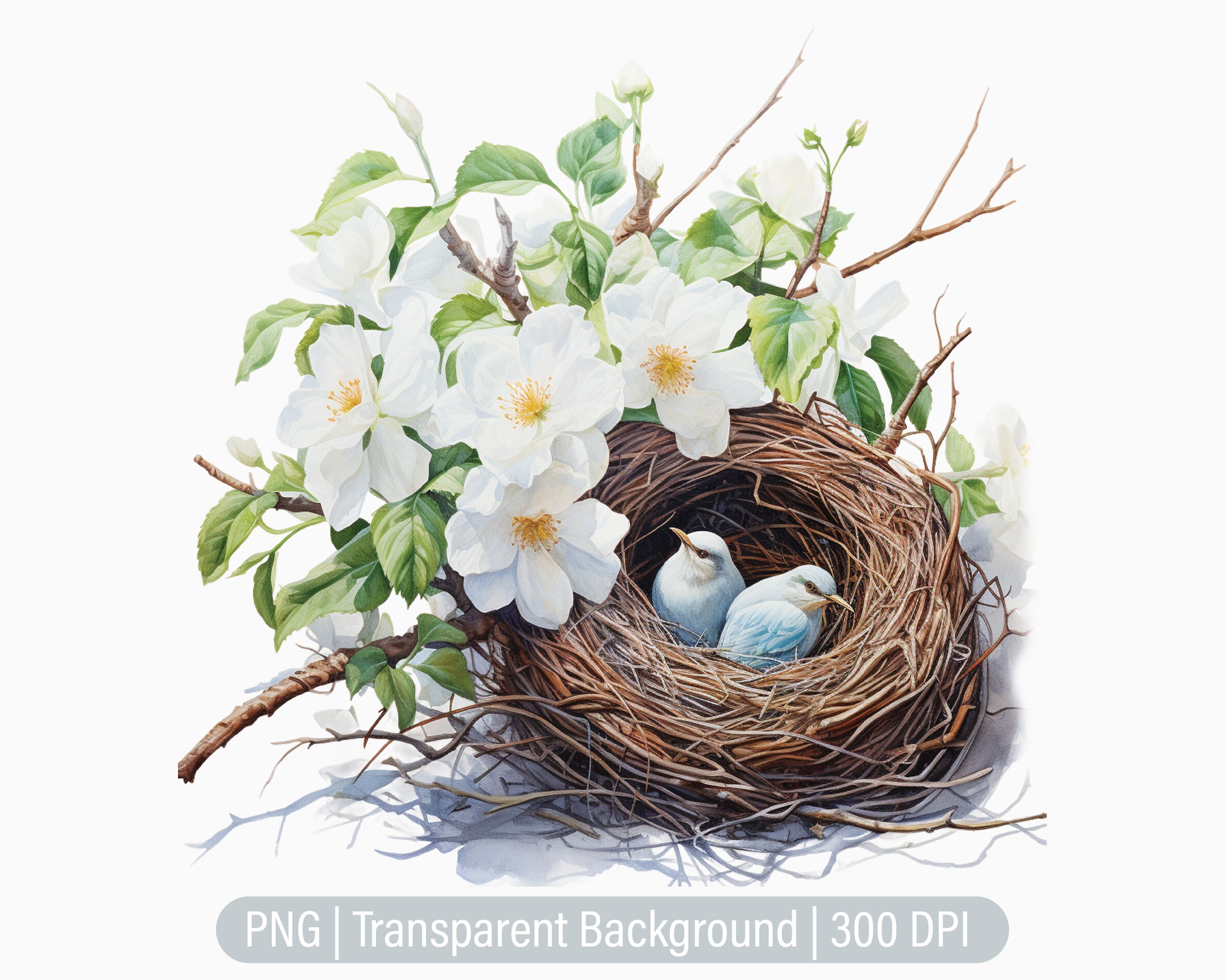 Bird Nest Clipart, Floral Nest PNG, Spring Bird Nest Clipart, Junk ...