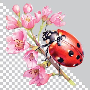 Watercolor Ladybug Clipart Bundle, Floral Cute Lady Bug Prints, Ladybug ...