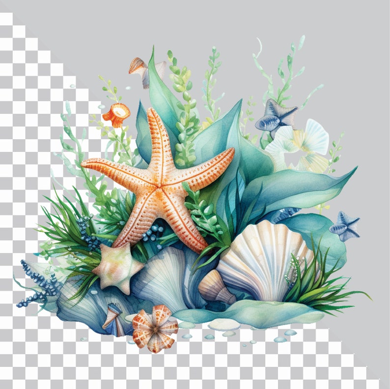 Starfish Clipart, Ocean Animals PNG Clipart, Sea Shells, Junk Journals ...