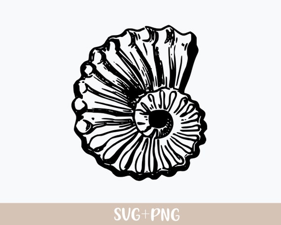 Sea Shell SVG Shell Svg Seashell Svg Shellfish Svg Beach | Etsy
