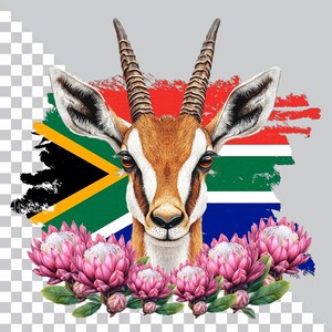 South African Springbok Clipart, Protea PNG, Antelope Clipart, Junk ...