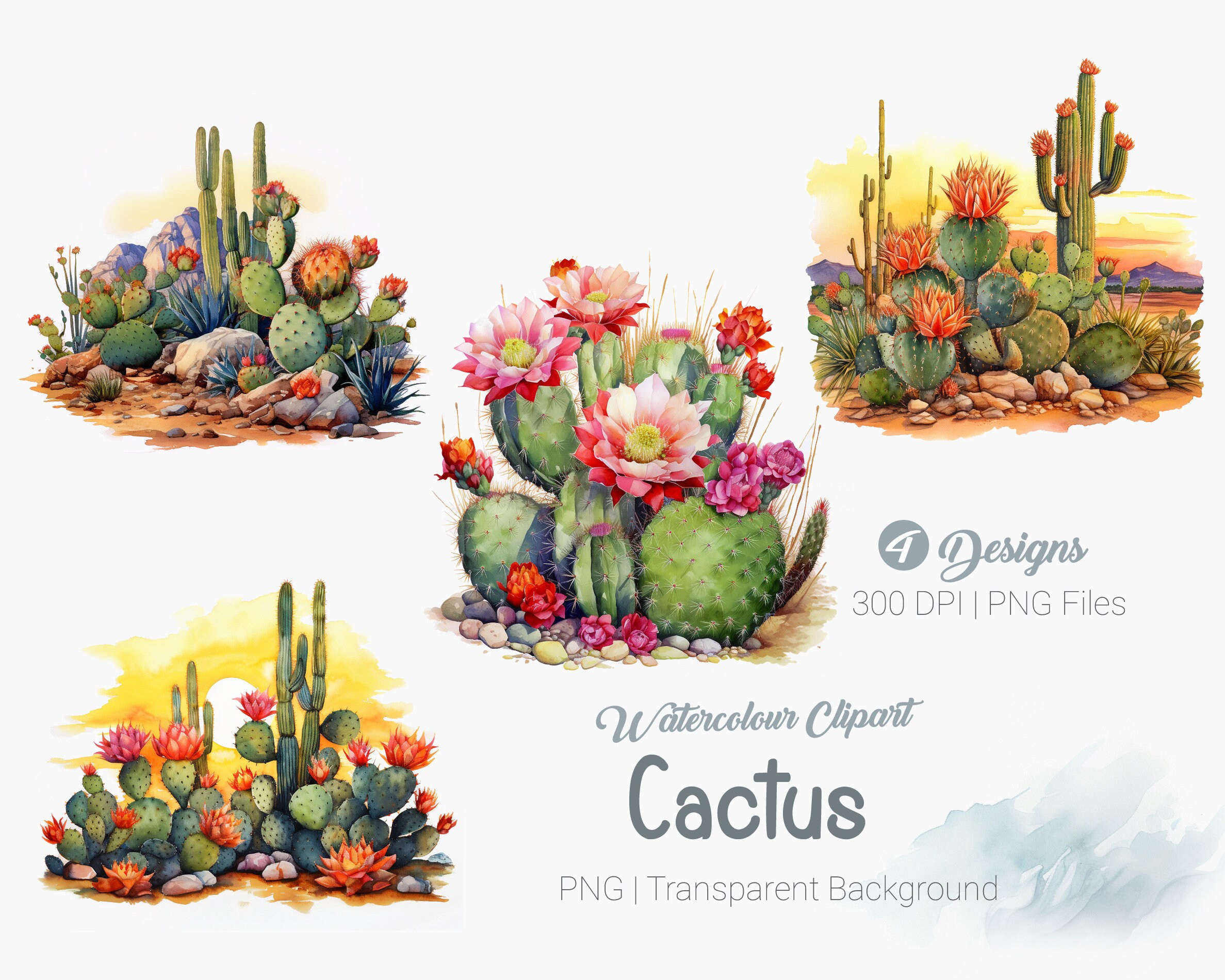 Watercolour Cactus Clipart, Desert Cactus Clipart, Desert Cacti ...