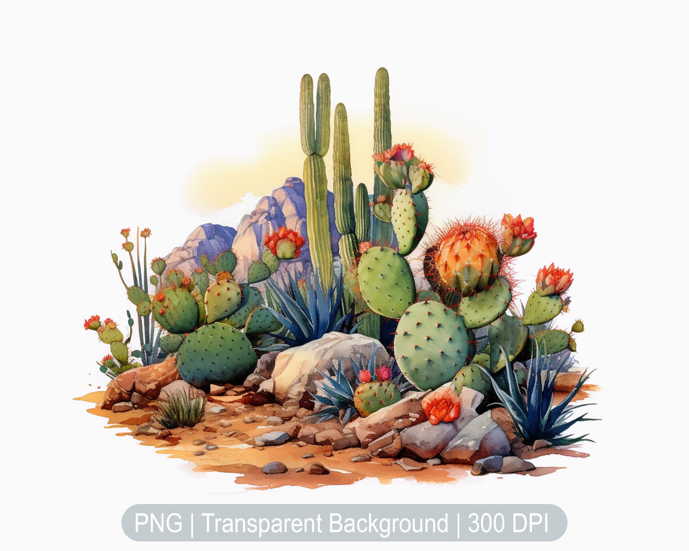 Watercolor Cactus Clipart, Desert Cactus Clipart, Sunset Desert ...