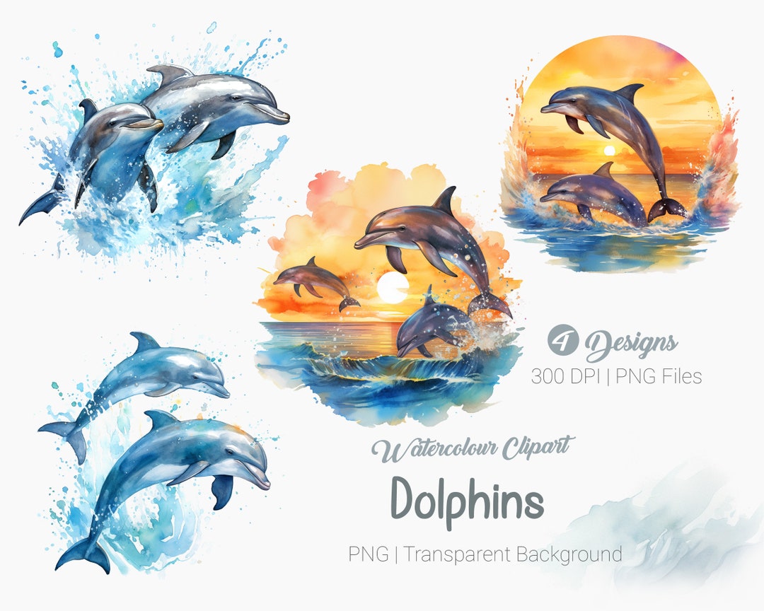 Watercolor Dolphins Clipart, Ocean Sunset, Sea Animals Png, Dolphin ...