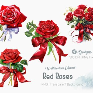 Watercolor Red Roses Clipart, Rose Clipart, Red Rose With Ribbon, Roses ...