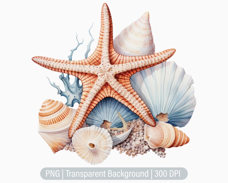 Starfish Clipart, Ocean Animals PNG Clipart, Sea Shells, Junk Journals ...