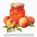 Peach Jam Clipart, Peaches, Fruits Jello, Peach Jar, Junk Journals ...