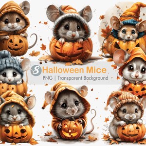 Halloween Mice Clipart, Mouse Png, Mouse in Pumpkin Png, Printable ...