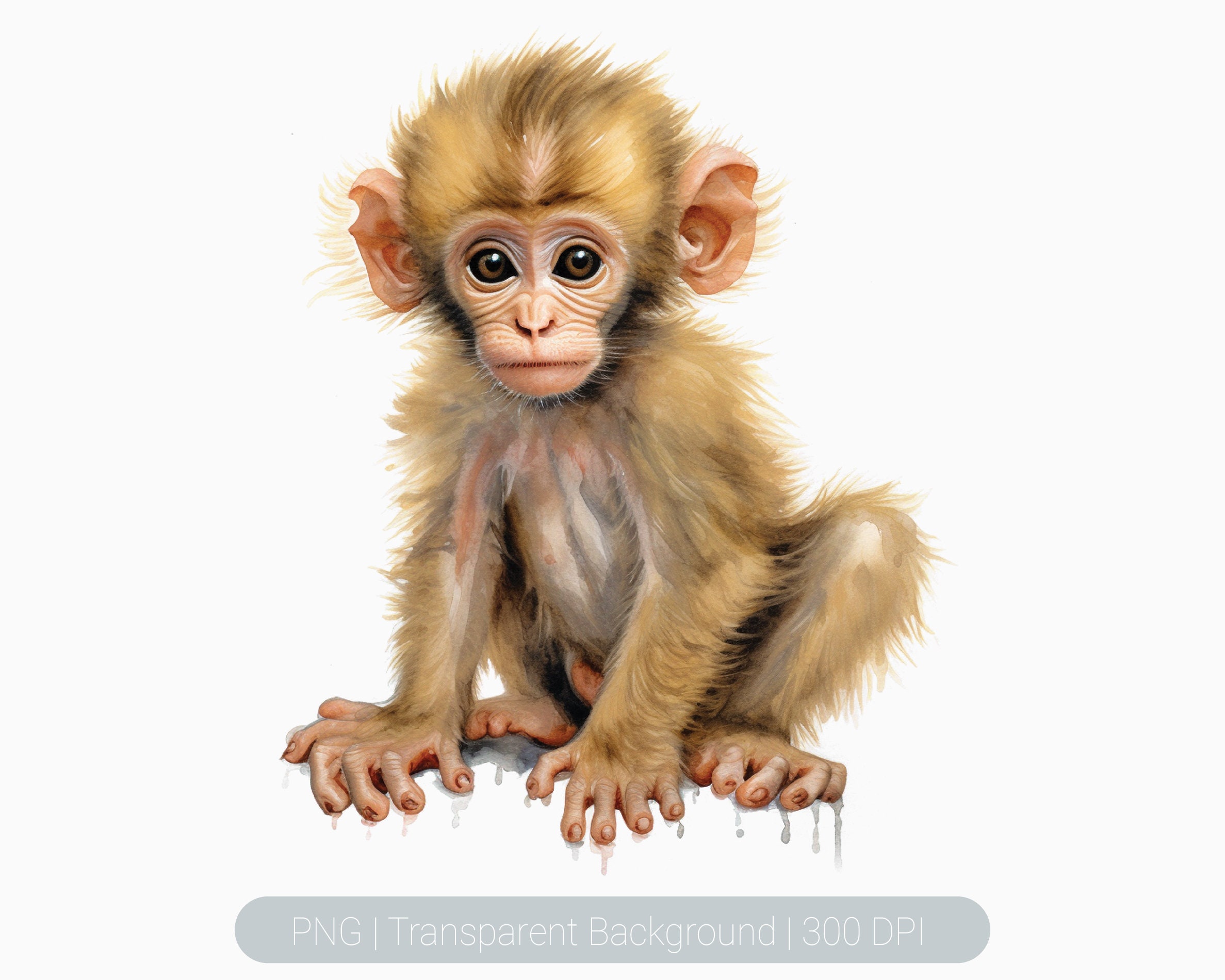 Monkey Watercolor Clipart Cute Monkey Baby Shower Nursery - Etsy