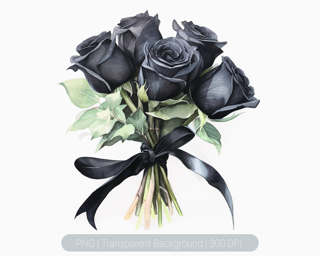 Watercolor Black Rose Clipart, Gothic Roses, Black Rose With Ribbon ...