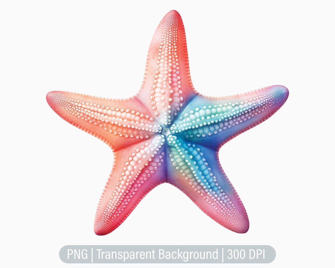 Starfish Clipart, Ocean Animals PNG Clipart, Sea Star, Junk Journals ...