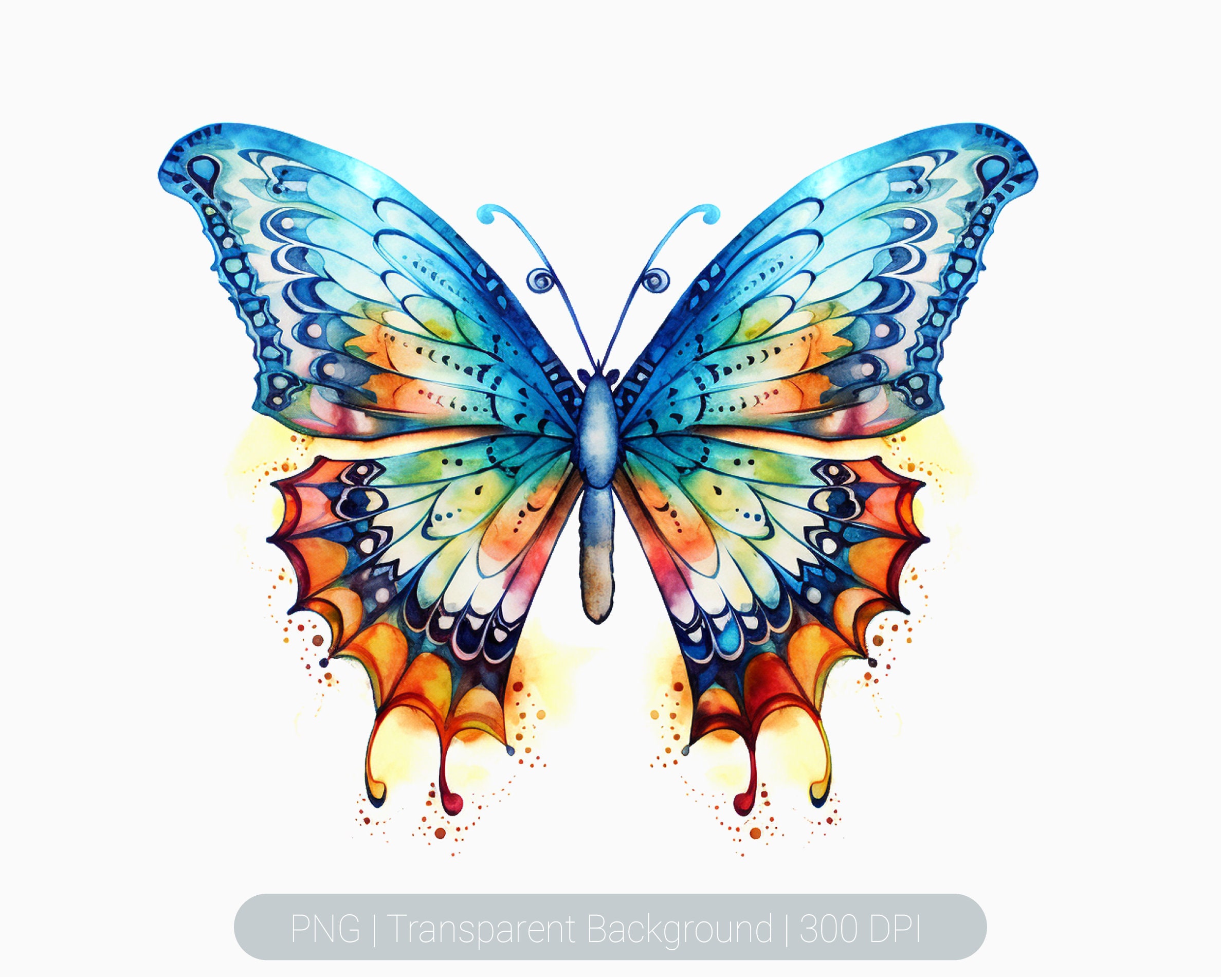 Boho Butterfly Clipart Watercolour Butterfly Clipart - Etsy