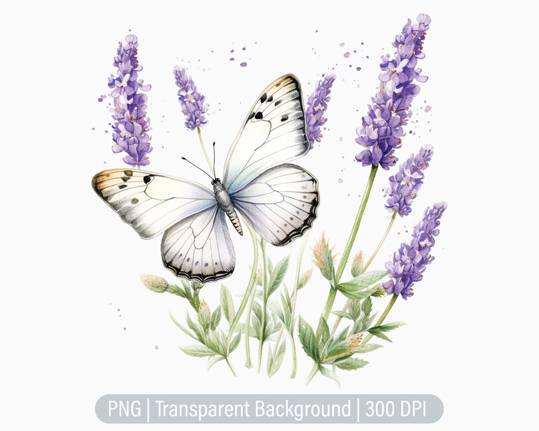 Lavender Clipart, Lavender Flowers Clipart, Purple Flower, Junk ...