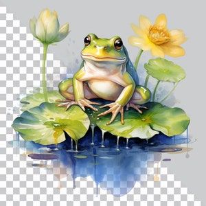 Watercolor Green Frogs Clipart, Cute Frog Floral Clip Art Png, Lily ...