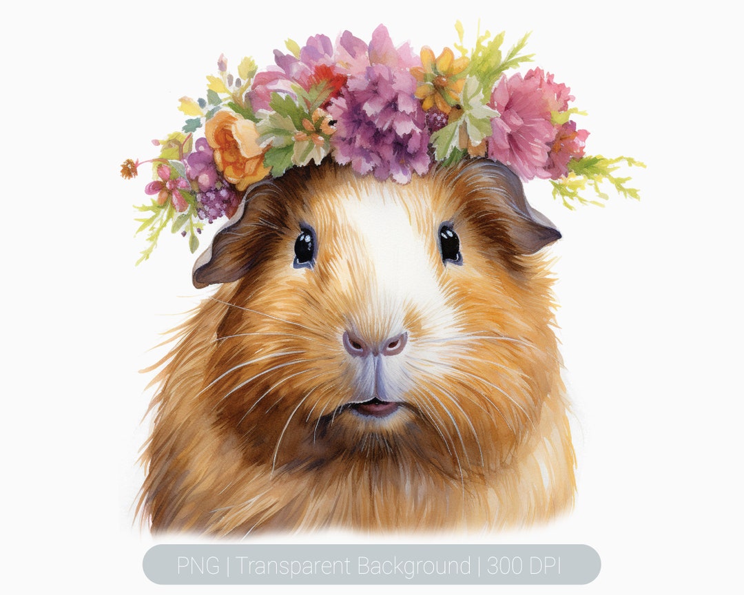 Watercolor Guinea Pig Clipart, Cute Floral Guinea Pig, Guinea Pig Png ...