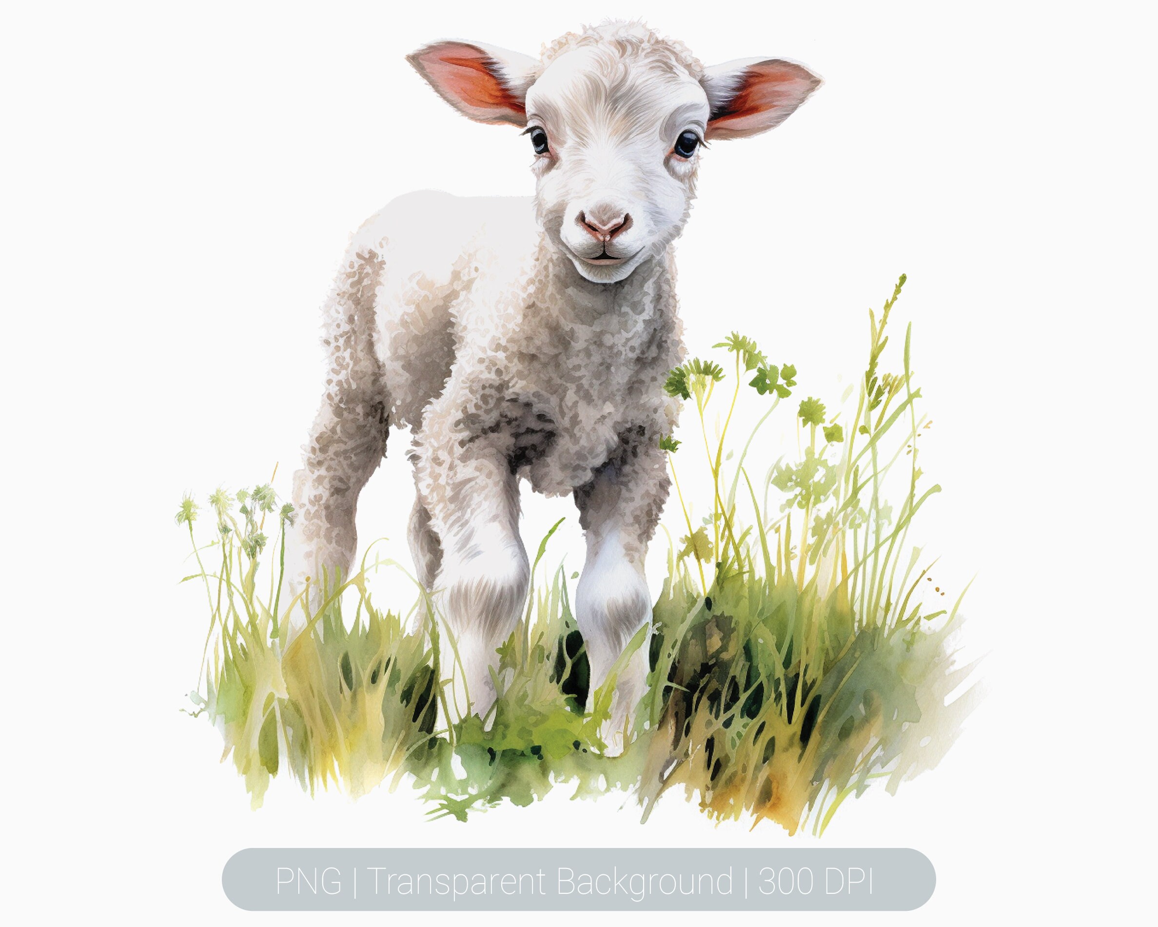 Baby Lamp Clipart Sheep Clipart Watercolor Baby Sheep Png - Etsy