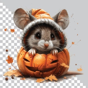 Halloween Mice Clipart, Mouse Png, Mouse in Pumpkin Png, Printable ...