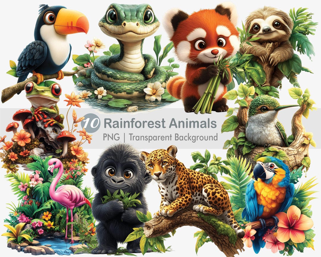 Rainforest Animals Clipart, Green Anaconda PNG, Jaguar PNG, Jungle ...