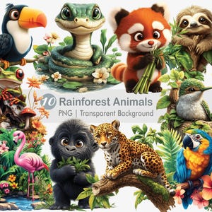 Rainforest Animals Clipart, Green Anaconda PNG, Jaguar PNG, Jungle ...
