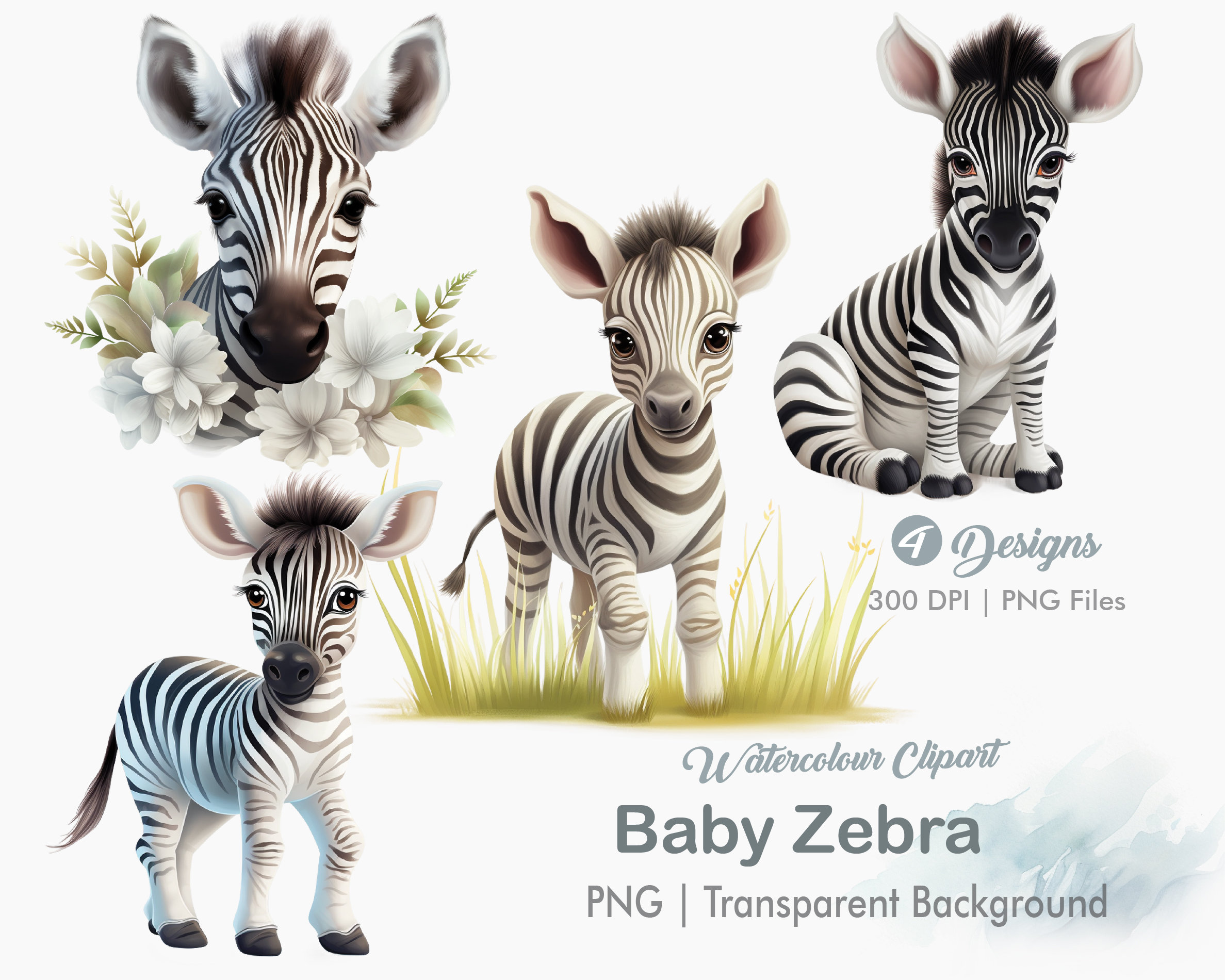 Baby Zebra Clipart, Zebra PNG Clipart, Cute Savanna Zebra, Junk ...