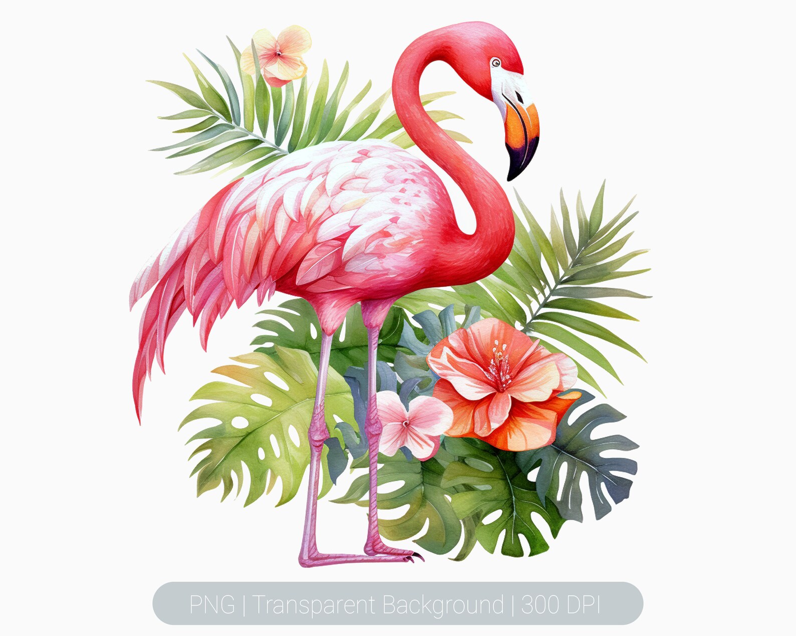 Watercolor Flamingo Clipart Tropical Birds With Flowers and Leaves ...