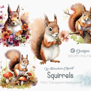 Watercolor Squirrel Clipart, Cute Animal Clipart, Floral Squirrel ...