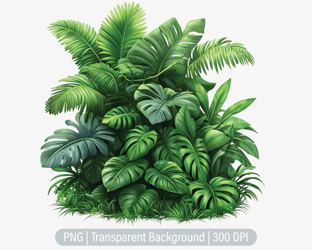 Jungle Bush Clipart, Jungle Forest PNG, Monstera Plant Leaf, Junk ...