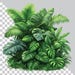Jungle Bush Clipart, Jungle Forest PNG, Monstera Plant Leaf, Junk ...