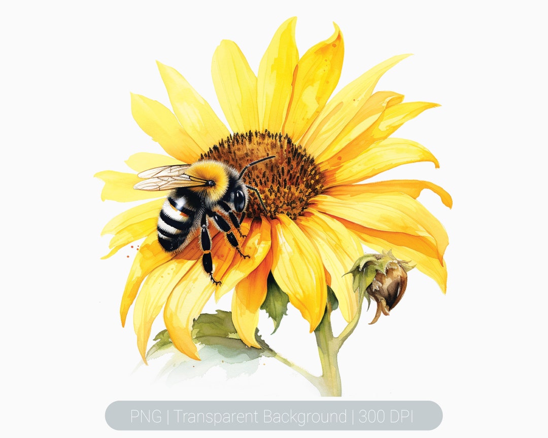 Bumble Bee & Sunflower Clipart, Bee PNG, Spring Bee Flowers, Junk ...