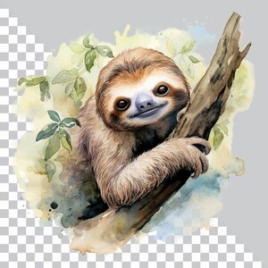 Watercolor Sloth Clipart, Cute Animal Clipart, Sloth on a Tree, Nursery ...