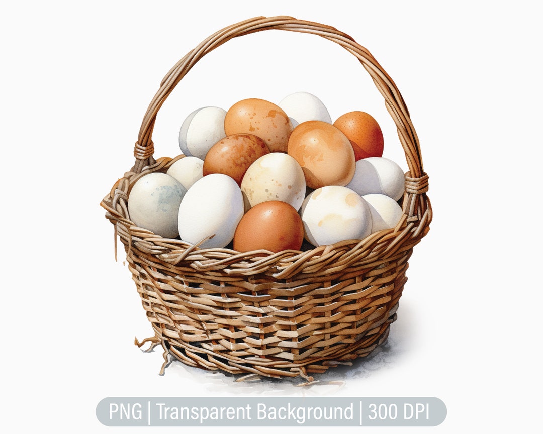 Chicken Eggs Clipart, Eggs in Basket PNG, Farm Egg, Junk Journals ...