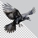 Flying Raven Clipart, Gothic Raven PNG, Dark Fantasy, Witch, Junk ...