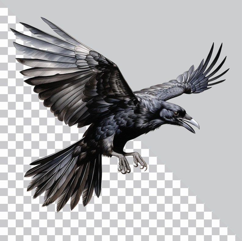 Flying Raven Clipart, Gothic Raven PNG, Dark Fantasy, Witch, Junk ...