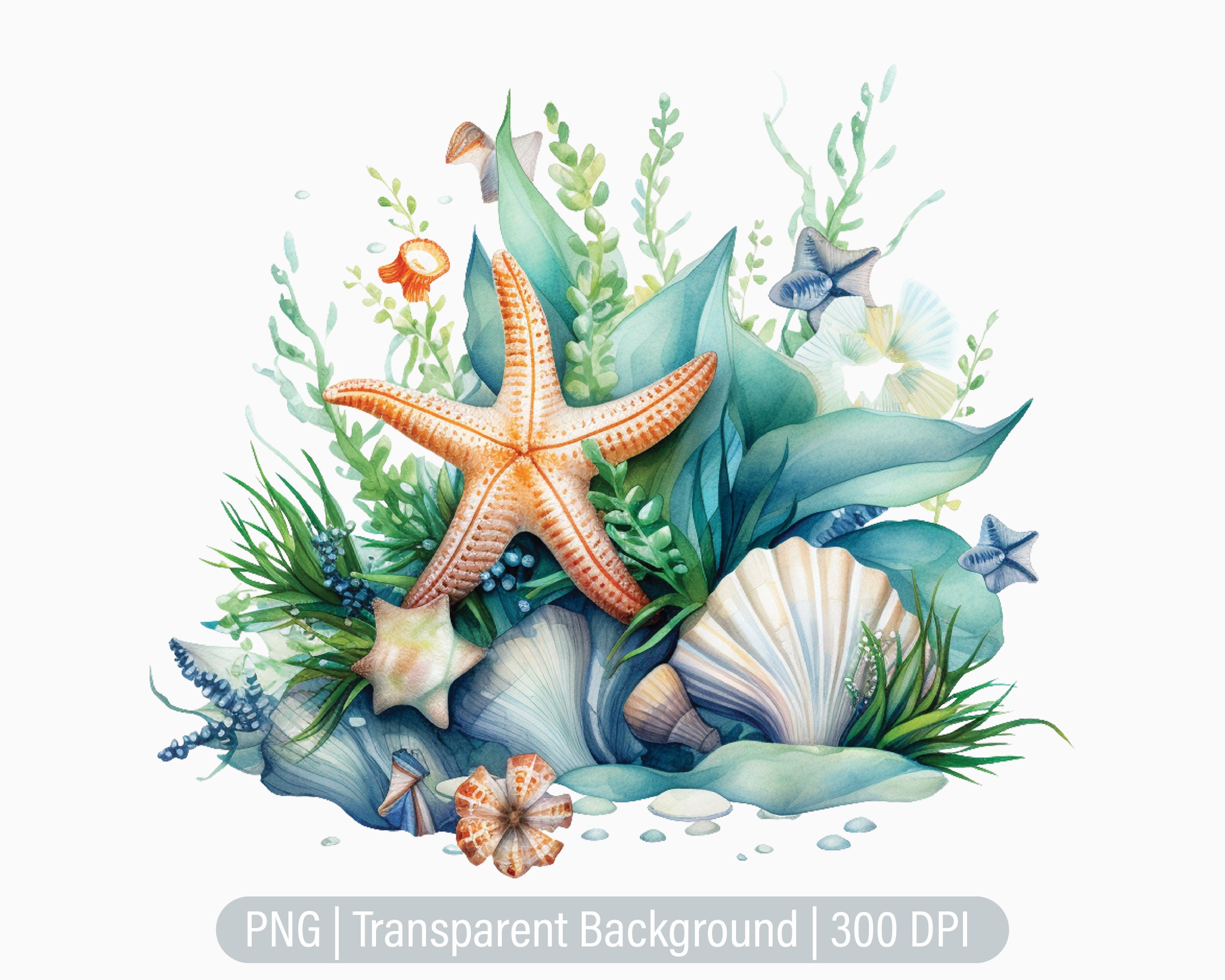 Starfish Clipart, Ocean Animals PNG Clipart, Sea Shells, Junk Journals ...