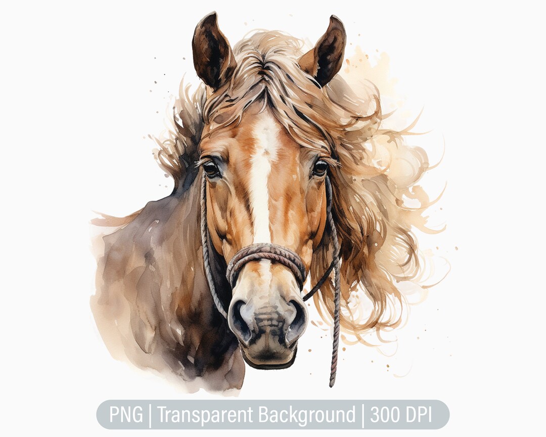 Horse Portrait Clipart, Horse Face Clipart, Farm Horses , Junk Journals ...