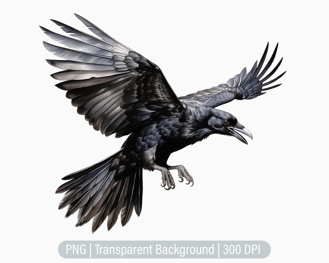 Flying Raven Clipart, Gothic Raven PNG, Dark Fantasy, Witch, Junk ...