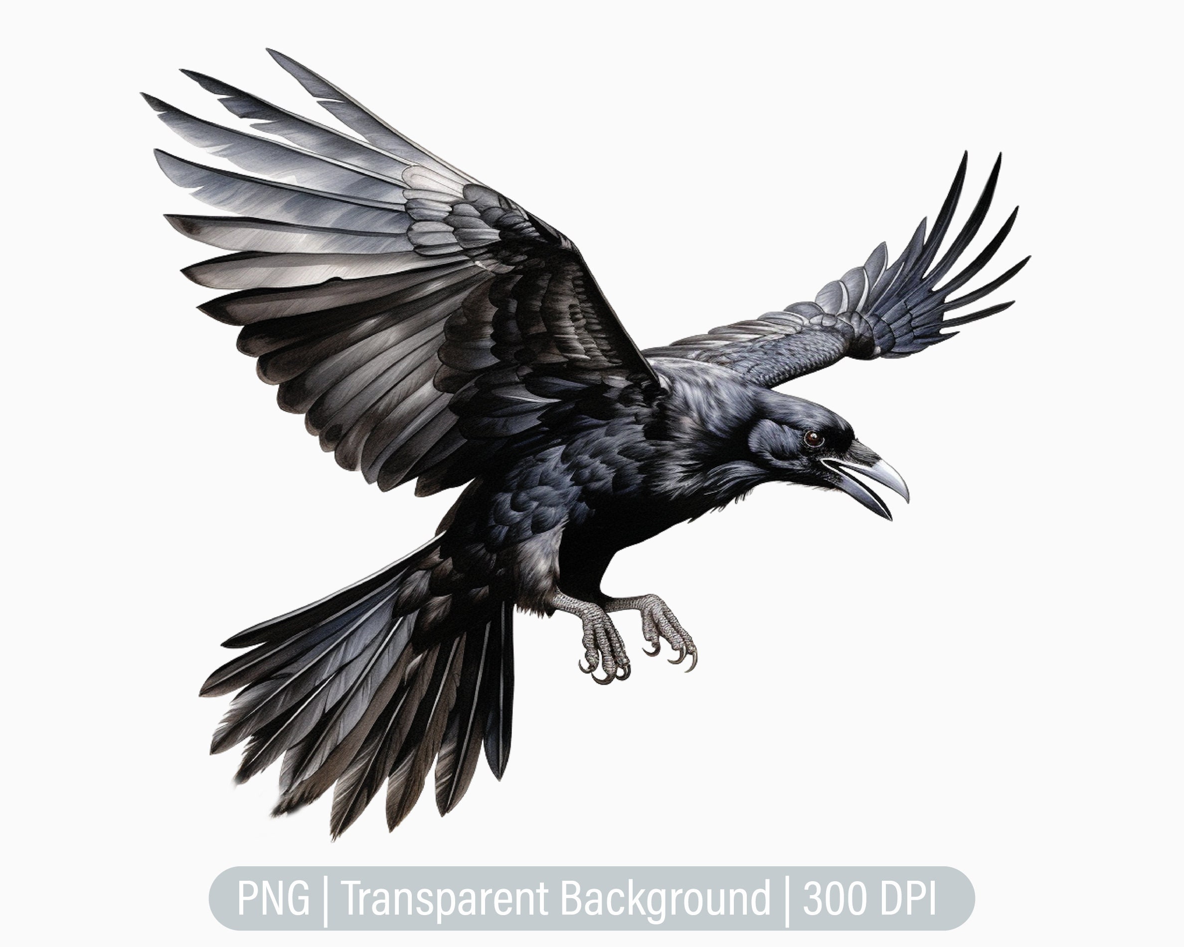 Flying Raven Clipart, Gothic Raven PNG, Dark Fantasy, Witch, Junk ...