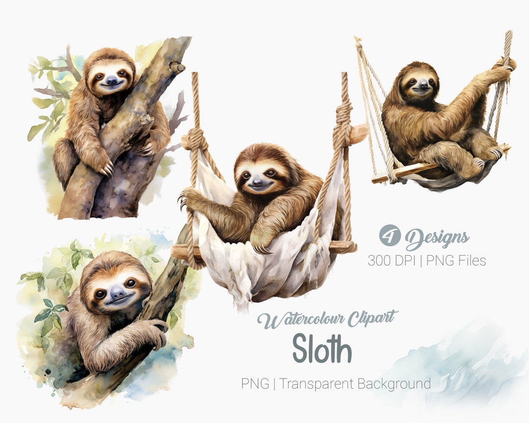 Watercolor Sloth Clipart, Cute Animal Clipart, Sloth on a Swing ...