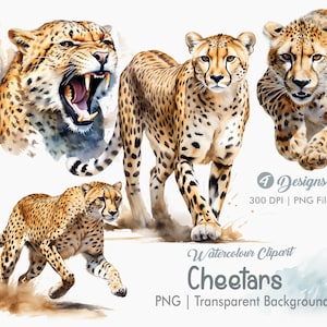 Cheetah Clipart, Safari Animals PNG, Running Cheetah Clipart, Junk ...