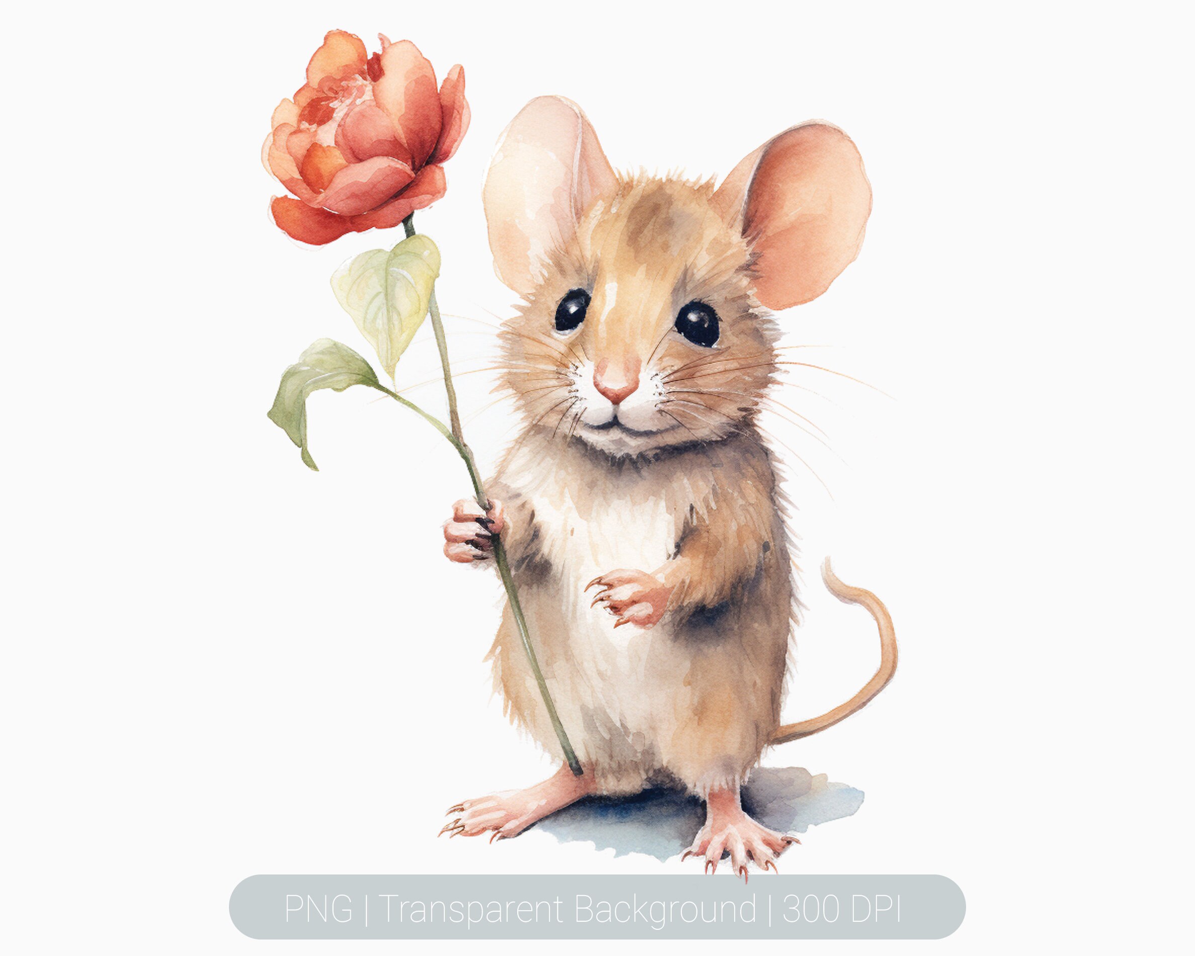 Mouse and Flower Clipart, Cute Mouse With Flower Png, Cute Animal ...