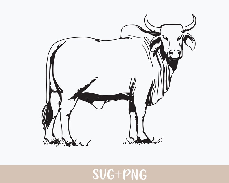 Vache SVG Bundle vache png vache veau paire svg vecteur | Etsy France